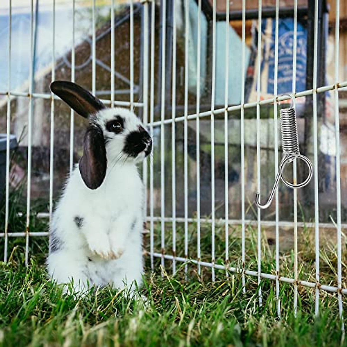 10Pcs Rabbit Cages Spring Cage Latch Door Spring Latch Hook for Rabbit Cages Metal Finger Spring Latch Hook for Fixing Small Animal, Dog, Cat, Parrot, Guinea Pig, Bunny,Parrot Hedgehog Cage Door