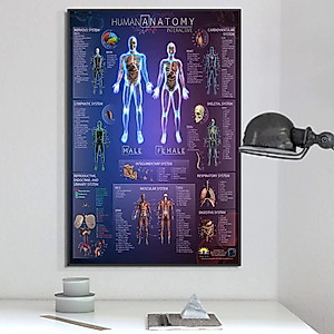Anatomy Posters - Spinal Nerves Anatomical Chart - Anatomy and Physiology Study Tools - Human Body Medical Posters - Human Anatomy Poster for Clinic Office Medical Graduate Dorm - 20x28 inch Unframed