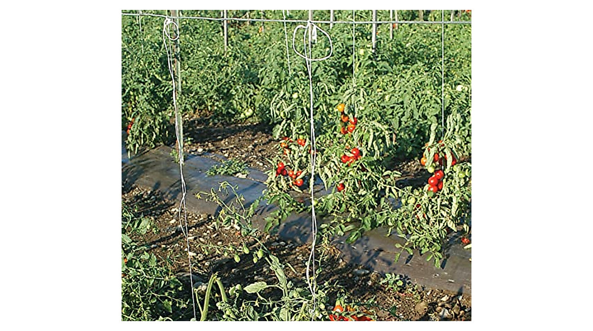 IRRIGATION-MART 6300FT Tomato Tying Twine for Gardens