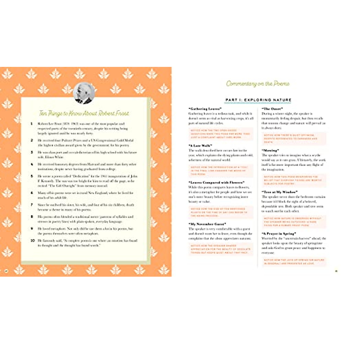 The Illustrated Robert Frost: 25 Essential Poems (The Illustrated Poets Collection, 2)