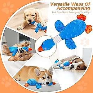 Vitscan Puppy Toys for Teething Small Dogs - Squeaky, Durable, Interactive Chew Toys for Aggressive Chewers