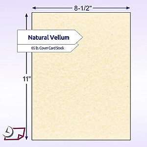 NextParch 8-1/2" x 11" (Letter Size) 65 lb. Parchment Cover Card Stock (Natural)