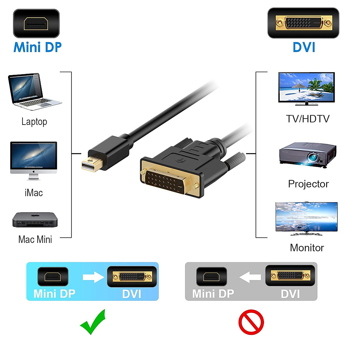 Rankie Mini DisplayPort (Mini DP) to DVI Cable, Thunderbolt Port Compatible, Gold Plated, 6 Feet