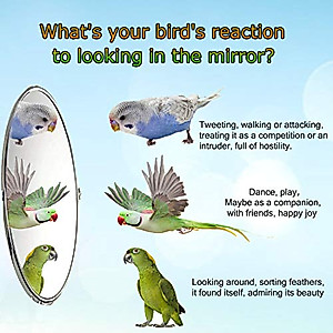 Hamiledyi Bird Mirror with Wooden Perch,Birdcage Fun Platform Stand Toys