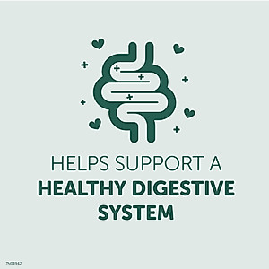 HEALTHFULS Heathfuls Digestive Support - Chicken and Pumpkin Recipe