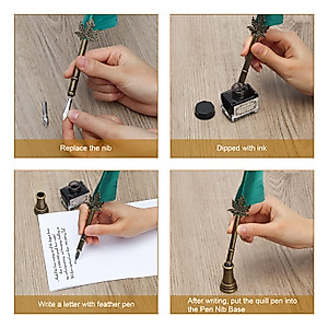 AHIER Quill Pen and Ink Set, Feather Pen Quill Pen Set Includes 5 Steel Replacement Nibs,Pen Nib Base and Dip Ink Bottle for Antique Calligraphy