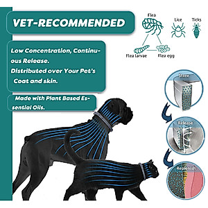 ShengKou Flea and Tick Collar for Dogs and Cats - Safe and Natural Prevention and Control of Pests on Puppies and Kittens - Waterproof - Free Comb - 2-Pack (13.8 in & 27.5 in)