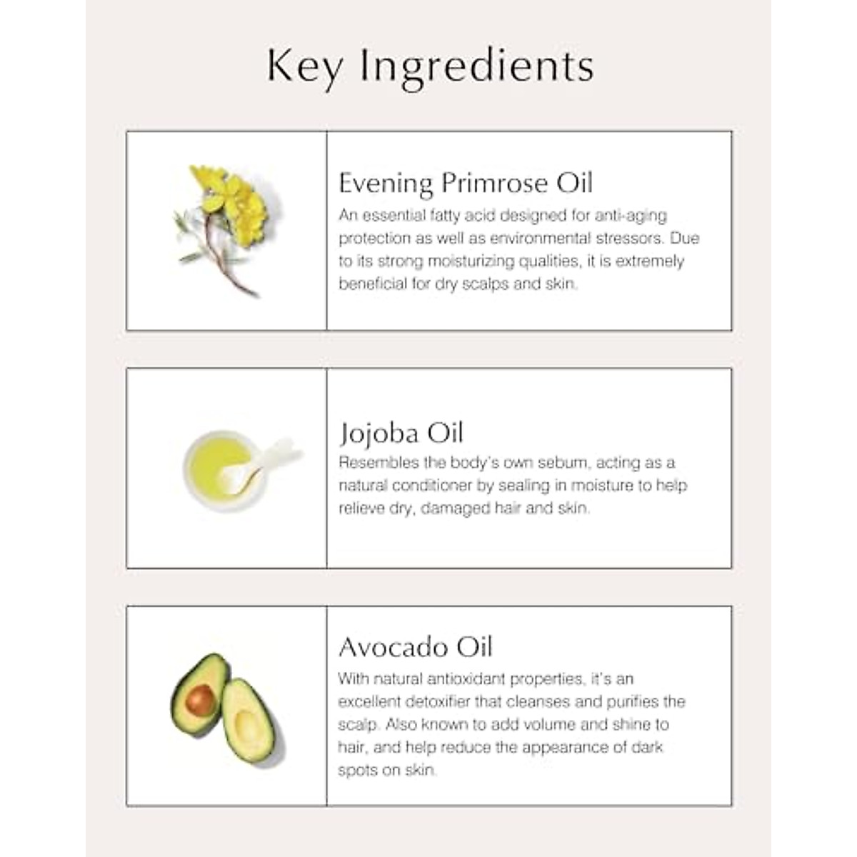 John Masters Organics - Shampoo for Dry Hair with Evening Primrose Good for Thinning, & Color Treated Hair - Moisturizer Infused with Essential Oils, Proteins, & Amino Acids - Sulfate Free - 8 fl oz (Pack of 1)