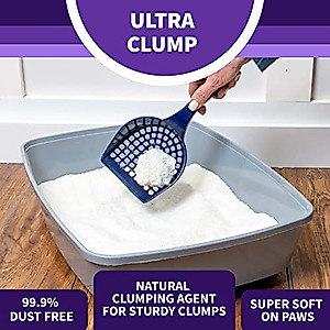 Litter Pearls Ultra Clump Unscented Crystal Clumping Cat Litter 8lb,White and Clear Crystals,10580