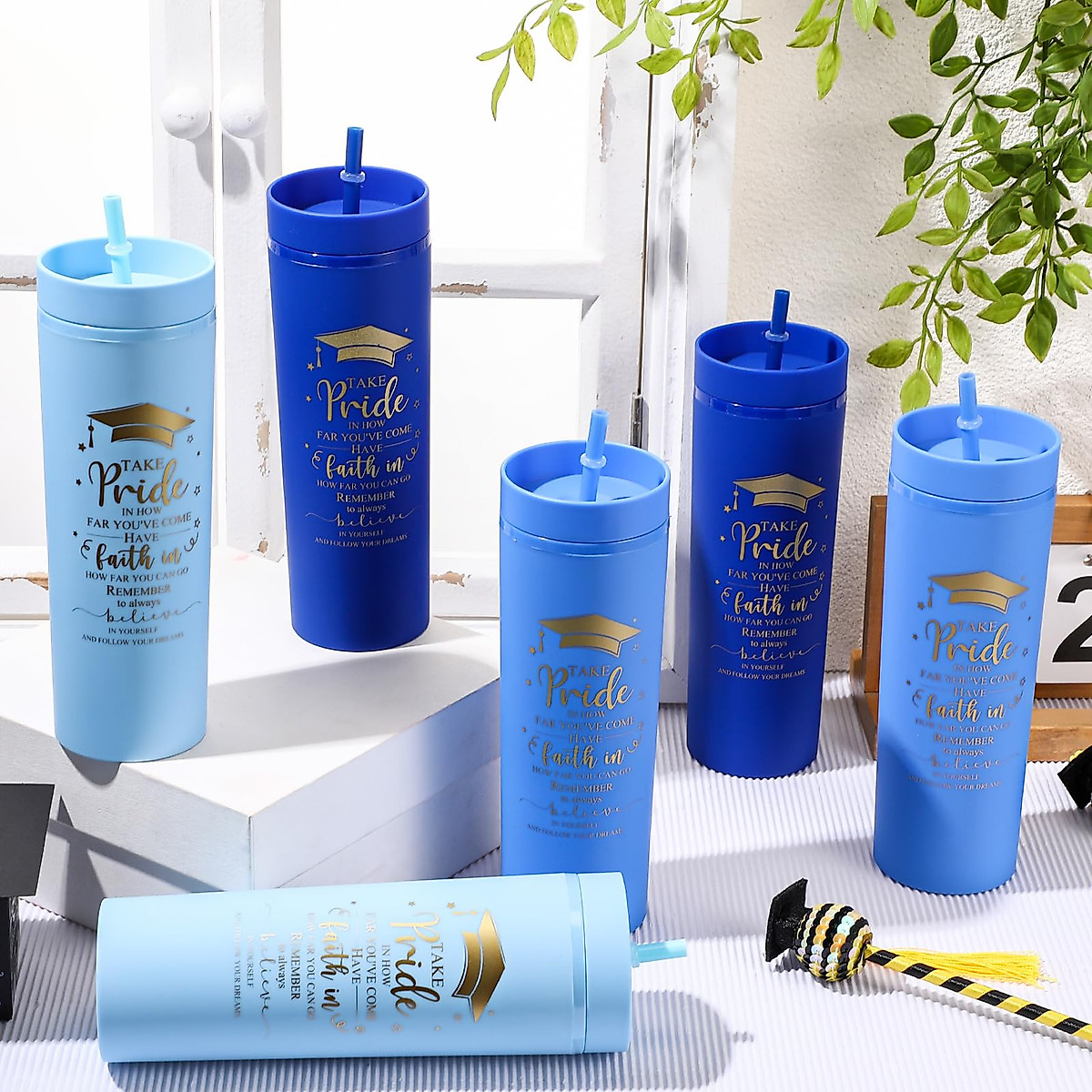 Blushtier 6 Pcs Class of 2025 Graduation Gifts Bulk 16oz Matte Graduation Cups 2025 Inspirational Tumbler with Lid and Straw Plastic Drinking Tumbler for Teen High School Grad Party Favors (Blue)
