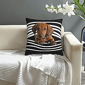 VARUN Square Throw Pillow Covers Cute Dachshund Dog Stripes Design Pillow Cases Decorative for Home Bedroom Sofa Pillowcases Standard Size 18X18 Inch