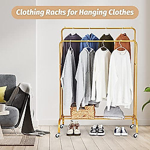 Sapodilla Double Rod Garment Rack with Shelf,Heavy Duty Hanging Clothes Rack with Wheels,Rolling Clothing Rack for Hanging Clothes,Clothes Hanger Rack,Metal Frame,Gold