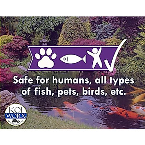 KoiWorx Defoamer - 32oz- Removes Foam from Decorative and Ornamental Ponds, Safe for Koi