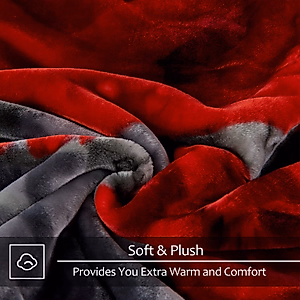 JYK Korean Style Mink Fleece Blanket 75"x87", 5 LB - 2 Ply Reversible 520GSM Silky Soft Plush Warm Blanket for Autumn Winter (Queen, Grey/Red Rose)