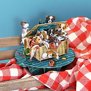 Santoro Pirouette, 3D Pop Up Greeting Card - Puppies In A Basket - Dog And Puppy Birthday Card For Her, Him, Kids, Daughter, Son