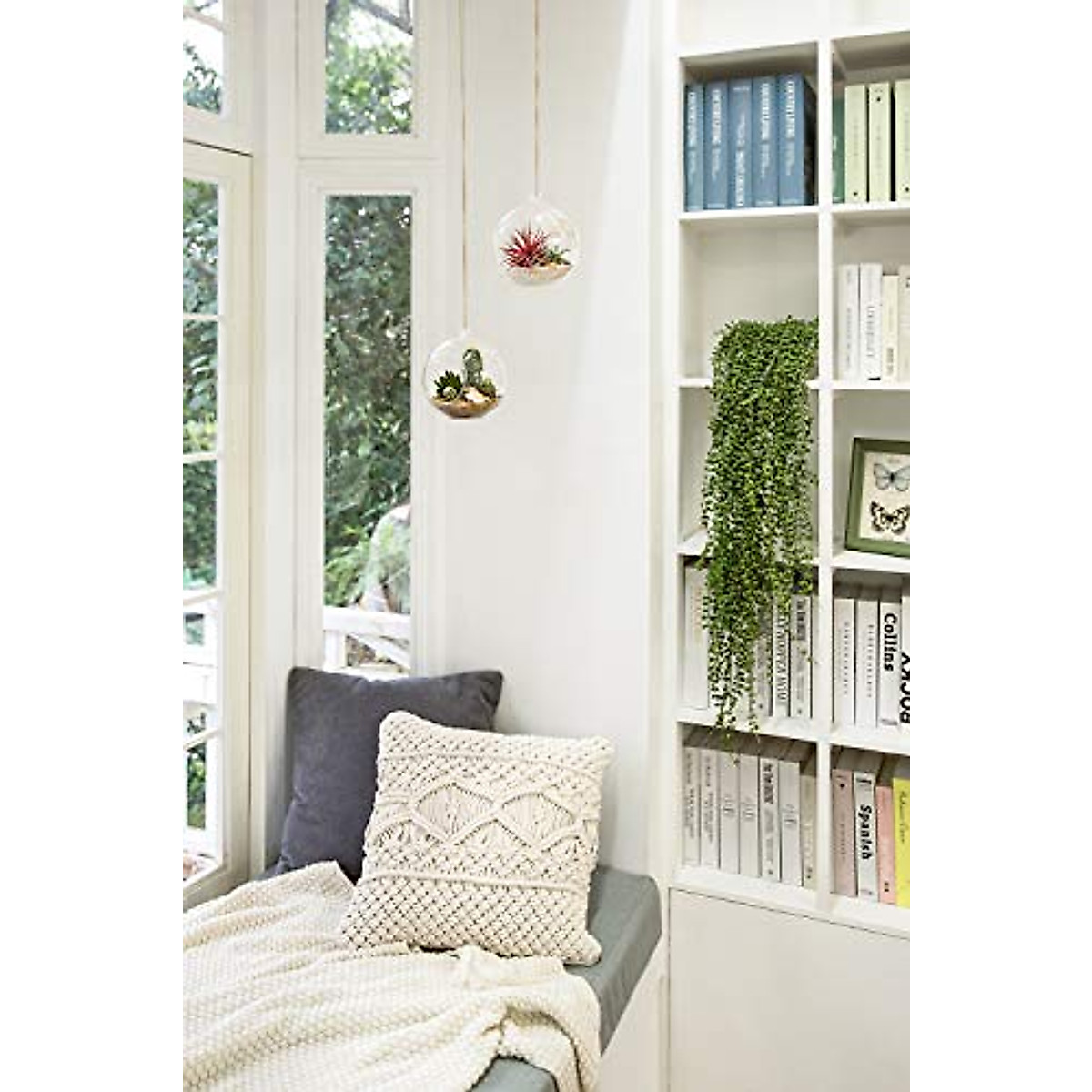 Mkono 6-Inch Hanging Glass Planter Round Air Plant Terrarium Decorations for Succulent, Tillandsia, Candle Holder, 2 Packs