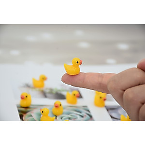 Yuronam 70 Pcs Tiny Ducks Mini Resin Ducks Miniature Ornaments for Slime, Dollhouse, Garden Decoration(Mixed Duck)
