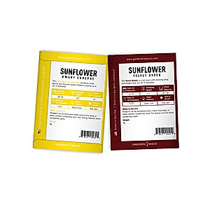 Sunflower Seeds for Planting Flowers (5 Pack Mix) - Velvet Queen, Dwarf Sunspot, Lemon Queen, Giant and Mammoth Bulk Mix of Regular Sunflower Seeds for Outdoor Flower Garden by Gardners Basics