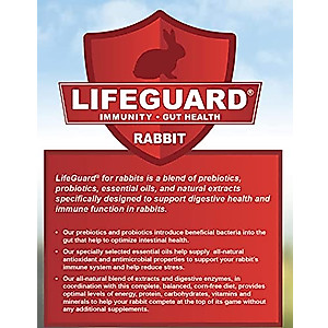 Kalmbach Feeds 18% Best in Show Rabbit Feed for All Rabbits, 50 lb Bag