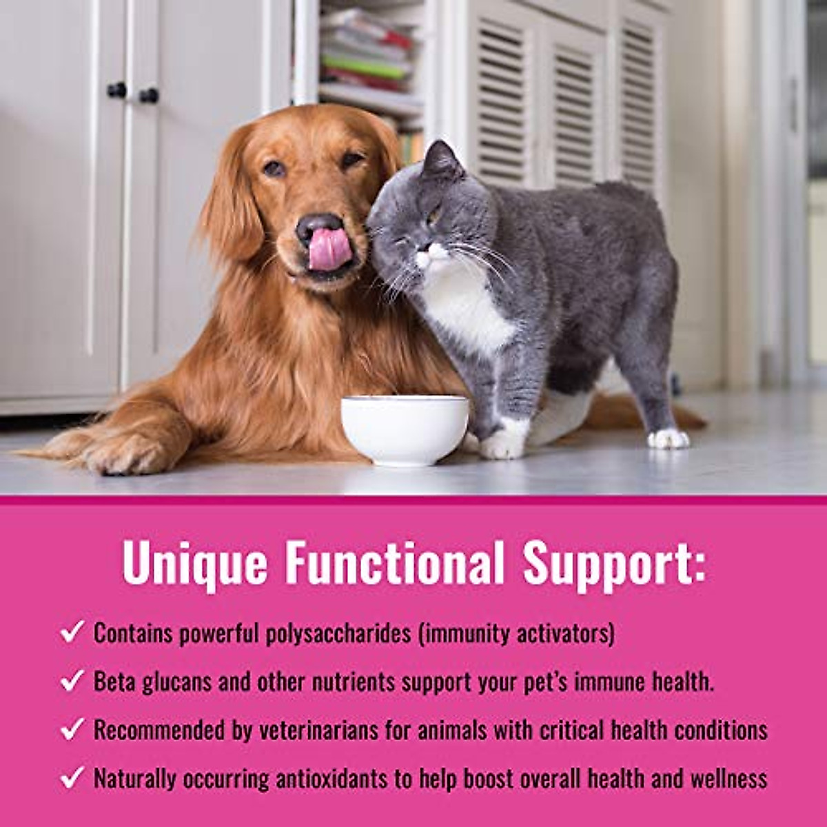 Mushroom Matrix Canine Organic Mushroom Powder Turkey Tail Immune Support and Holistic Defense Supplement for Dogs, 200 Grams (Packaging May Vary)