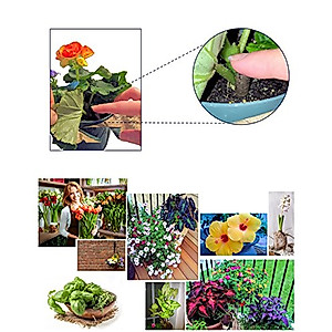 EarthPods (Premium) Organic Fertilizer Spikes for Bamboo & Bonsai - 100 Count - Made in USA