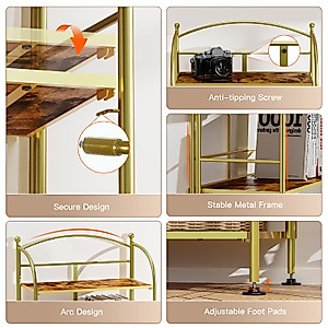 FRAPOW Folding Bookshelf No Assembly, 5 Tier Shelf Gold Collapsible Bookcase, Arched Metal Display Tall Book Shelf with Storage Shelves for Bedroom, Living Room, Home Office, Dorm