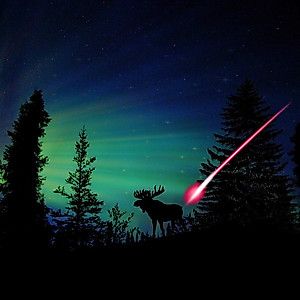 HUNTER ACTION 6PCS S Lighted Nocks for Arrow Archery Nocks Hunting LED Arrow Nocks Fits for Arrows with 0.244''/6.2mm Inside Diameter(Red)