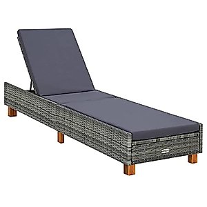 BUKSCYJS Sun Bathing Chair,Balcony Desk,Pool daybed,Patio Lounger Chair,Outdoor Lounge Set,Outdoor Lounge Set,Patio Day beds Outdoor,Sunbed with Cushion Poly Rattan Black
