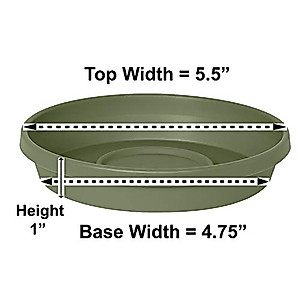 TERRATRAY LIV GREEN 6"