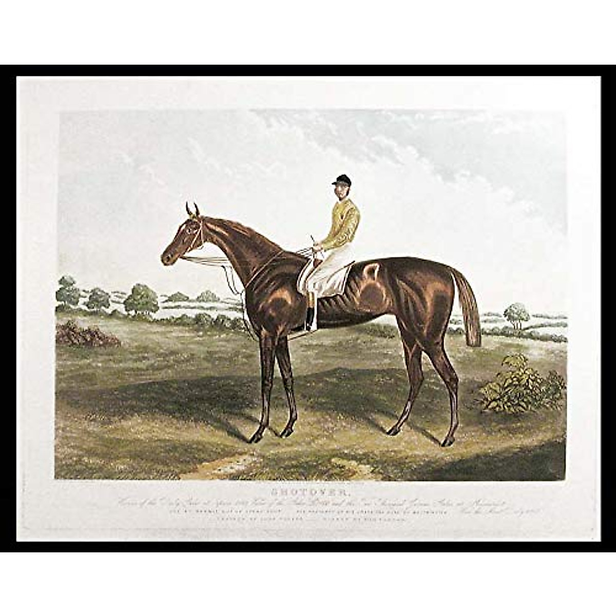 Shotover, Winner of the Derby Stakes at Epsom 1882, Value of the Stakes ú4800 and the Two Thousand Guineas at Newmarket. got by Hermit out of Stray Shot. The Property of His Grace the Duke of Westminster. Won the Ascot Derby 1882. Trained by John Porter -