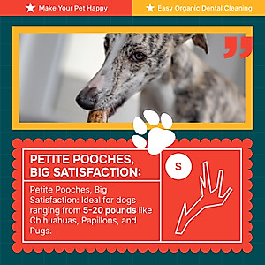 100% Natural - Antlers for Dogs - Naturally Shed in USA - Grade A Long Lasting Chew for Aggressive Chewers - Elk Antlers Dog Antler Chews - Real, Healthy Treats & Toys - No Odor & No Mess - Small