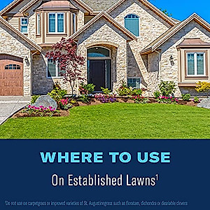 BioAdvanced Season Long Weed Control For Lawns, Ready-to-Spray, 29 oz, 9,000 Sq Ft