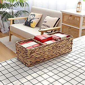 YAHUAN Woven Water Hyacinth Storage Basket Divided Basket with 3-Section Wicker Baskets for Shelves,Handwoven Desk Baskets for Pantry, Coffee Bar, Shelves (Water Hyacinth)
