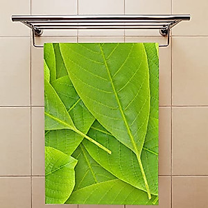 Green Leaf Dish Towel 2PC Hand Towels for Bathroom 15" x 30" Absorbent Soft for Hand, Face, Kitchen, Hotel, Spa, Gym, Swim
