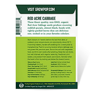 Organic Cabbage Seeds (Red Acre) - Approx 750 Seeds - Certified Organic, Non-GMO, Open Pollinated, Heirloom, USA Origin
