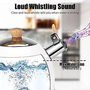 Tea Kettle, Beyoung 2.5 Liter Whistling Tea Kettle, Tea Pots for Stove Top Food Grade Stainless Steel with Wood Pattern Handle, Universal Base Suitable for Tea, Coffee, Milk