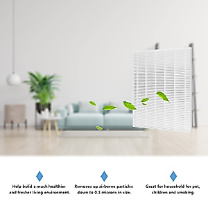 D480 True HEPA Replacement Filter D4, Compatible with D480 Air Purifier, Compare to D4 Filter, 2 H13 Grade True HEPA and 8 Activated Carbon Filters, Item Number 1712-0100-00