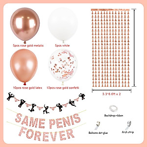 AIBIIN Bachelorette Party Decorations Rose Gold Bridal Shower Balloons Arch Kit Bachelorette Party Foil Fringe Curtain Banner Disco Bachelorette Party Bride To Be Party Decorations Supplies