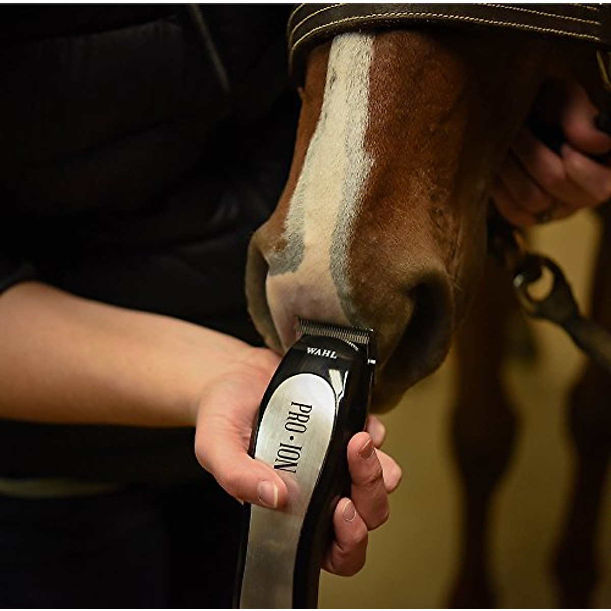 WAHL Professional Animal Pro Ion Equine Cordless Horse Clipper and Grooming Kit (#9705-100)