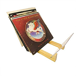 Trademark Innovations Vinyl Record Album Storage Holder Stand