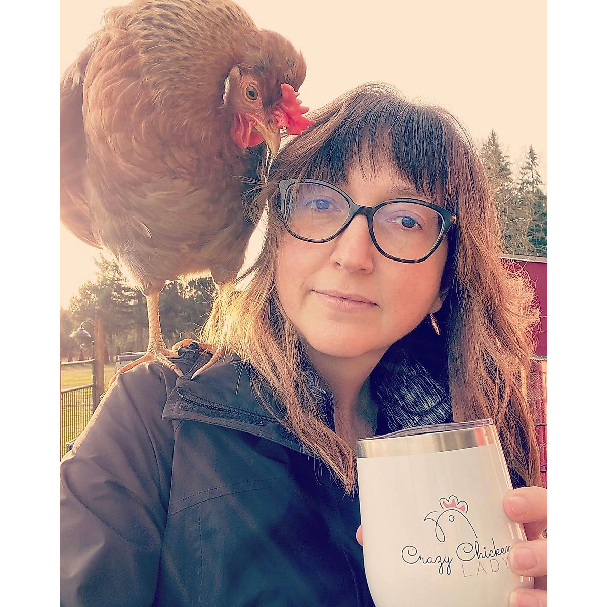 Crazy Chicken Lady - Stainless Steel Stemless Wine Glass - Crazy Chicken Lovers Gifts