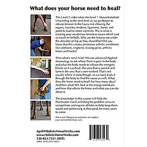 Holistic Horseworks Level 2 Equine Whole Body CranioSacral Unwinding And Advanced Applied Kinesiology Horse DVD Home Study Course - Level 1 Equine Musculoskeletal Unwinding Required