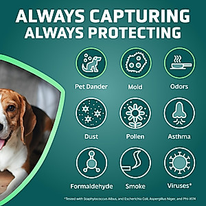 Germ Guardian FLT5250PT True HEPA Genuine Air Purifier Replacement Filter C, with Pet Pure Treatment for GermGuardian AC5250PT, AC5000E, AC5300B, AC5350W, AC5350B, CDAP5500, and More