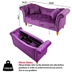 Betoko Velvet Loveseat Sofas Couches with Storage Seat Flared Rolled Arm 2 Seater Sofa for Living Room Bedroom Button Tufted Small Couch with Solid Wood Legs (Purple)