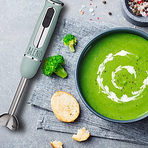 Rae Dunn Immersion Hand Blender- Handheld Immersion Blender with Egg Whisk and Milk Frother Attachments, 2 Speed Blender, 500 Watts, Stainless Steel Blade (Sage)