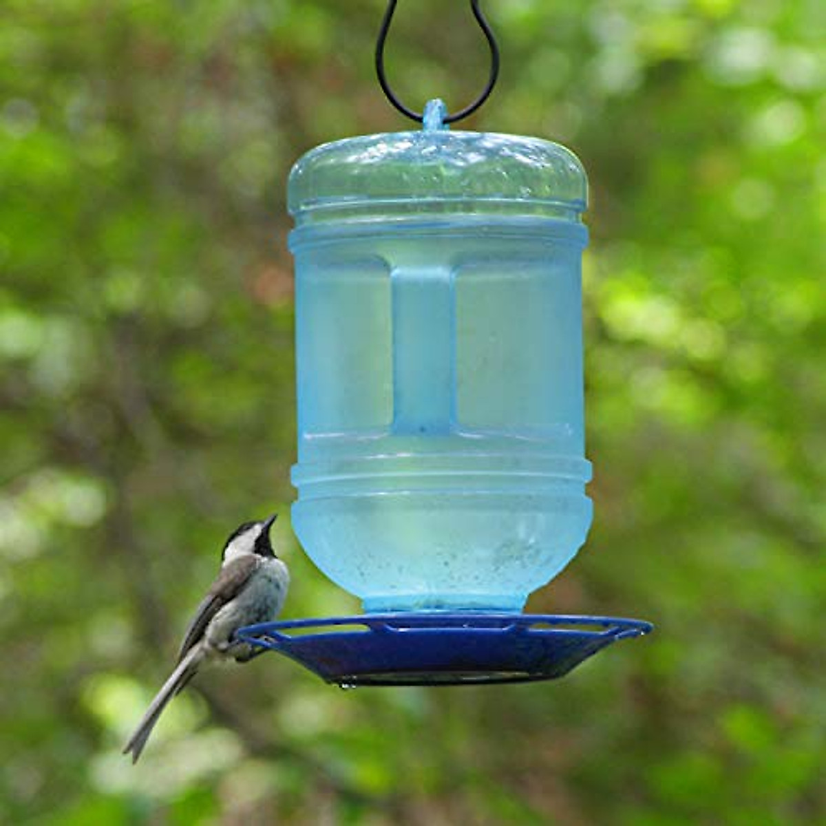 Perky-Pet 780 Outdoor Hanging Water Cooler Bird Waterer and Dispenser,Blue, 1.5 Qt Capacity