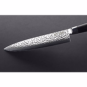 KAN Core Chef Knife 8-inch VG-10 67 layers Damascus Ambidextrous (Hammered VG-10 Blade, Ebony wood handle-upgraded version)