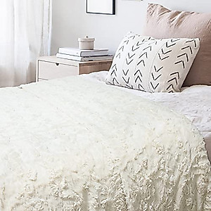 TOONOW Fuzzy Blanket Cozy Faux Fur Luxury Throw Blanket, Extra Soft, Double Sided, Fluffy, Plush Warm Throw Blanket for Couch Sofa Bed, 51''x67'' (White)