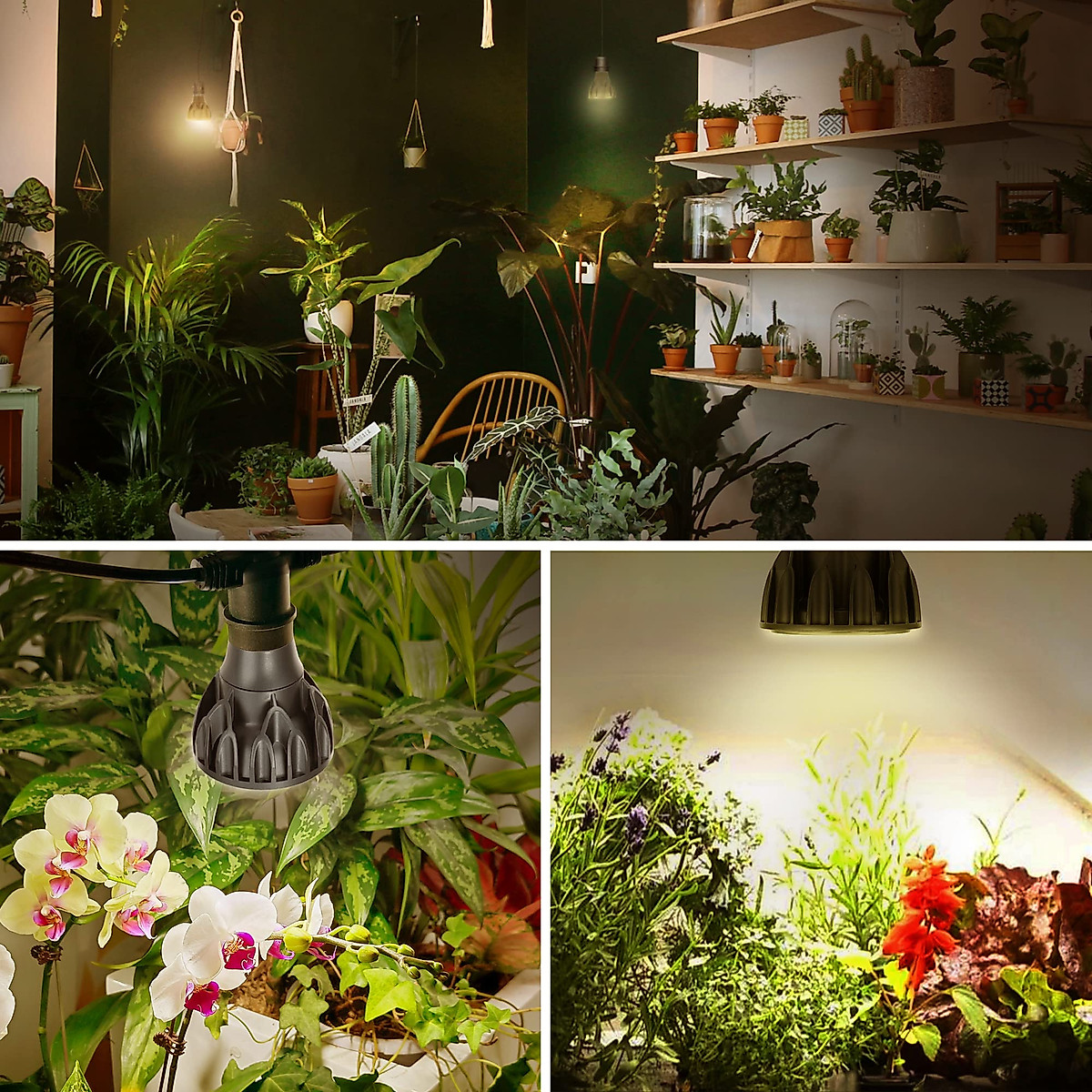 Briignite Grow Light Bulbs,15W Plant Light Bulb, High PPFD, PAR20 Full Spectrum Grow Bulb,150W Equivalent, E26 Base, LED Grow Lights for Indoor Plants, Seed Starting, 1 Pack