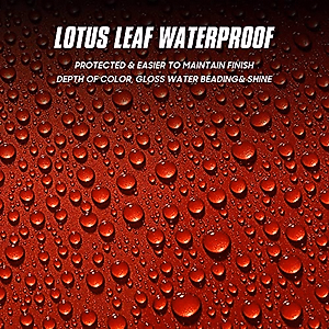 WEICA Ceramic Wax, Premium Carnauba Wax for Cars, Crystal Solid Wax Universal for New Car Paint - Polishing Waxing Makes Vehicle Shine & Dust-proof & Hydrophobic, Detail Protection Lasting (7 oz) Black